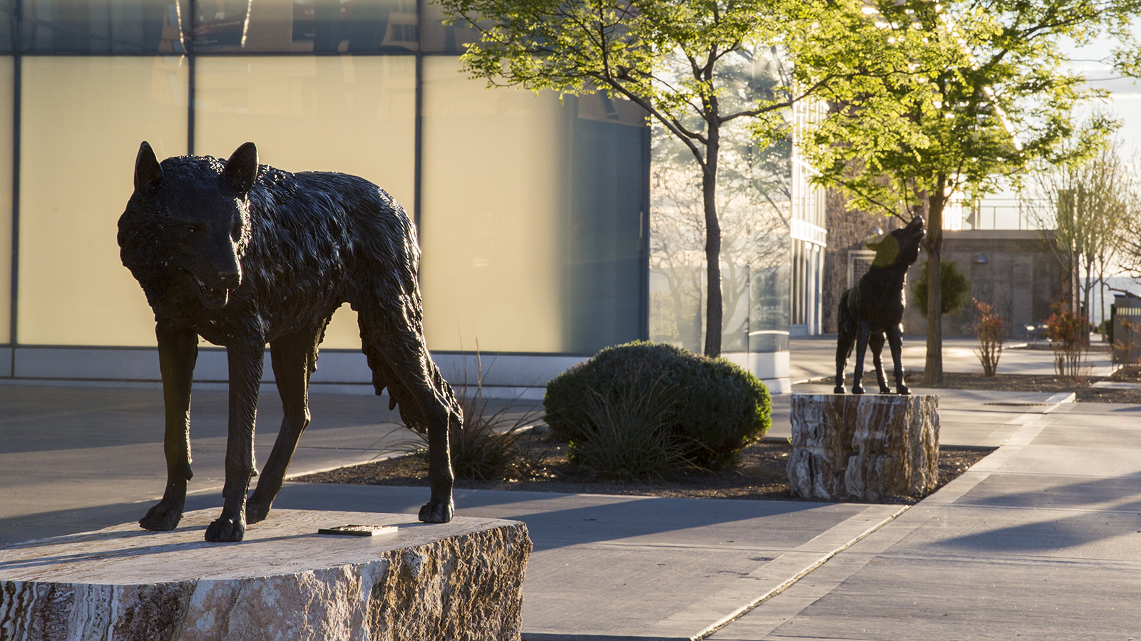 New Mexico's Flagship University | The University of New Mexico