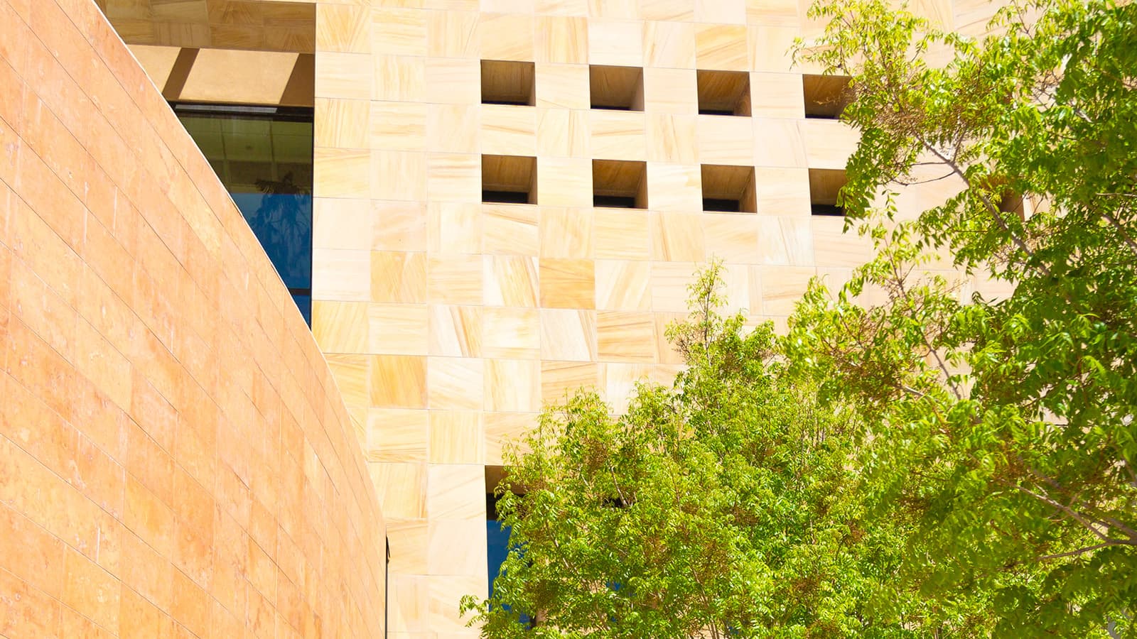 New Mexico's Flagship University | The University of New Mexico