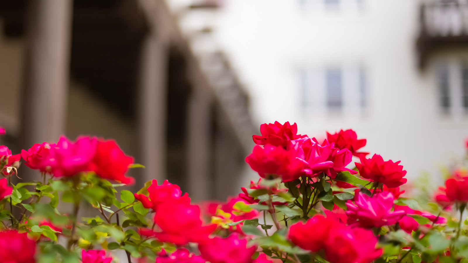 New Mexico's Flagship University | The University of New Mexico