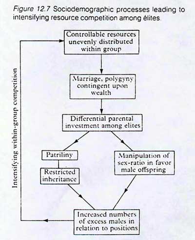 PORTUGUESE NOBILITY; HISTORIC SHIFT FROM BILATERAL, PARTIBLE ...