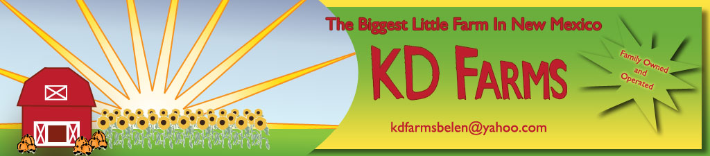 KD Farms|Chocolate Zucchini Bread