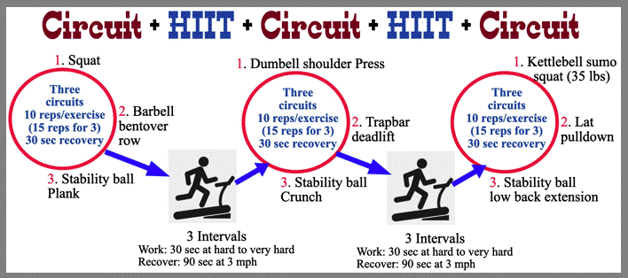 Week 8 Teaching Exercise