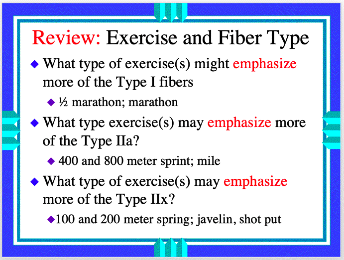Muscle Fiber Types